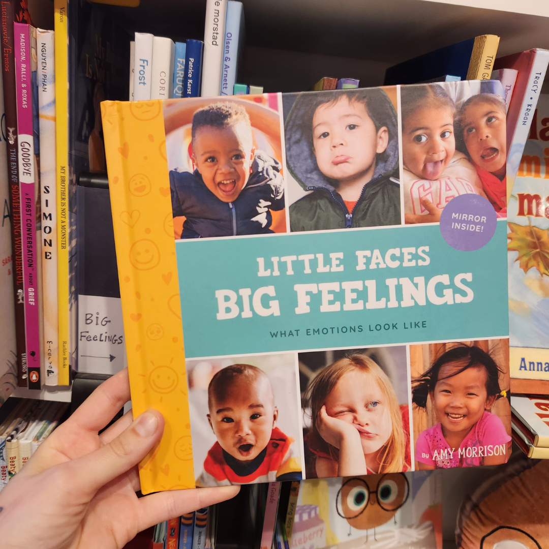 Big Feelings – High Five Books